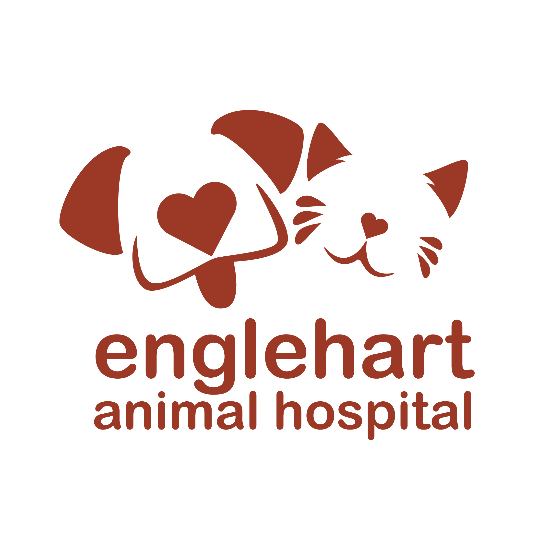 Small Animal Hospital - Englehart Animal Hospital | Englehart, ON