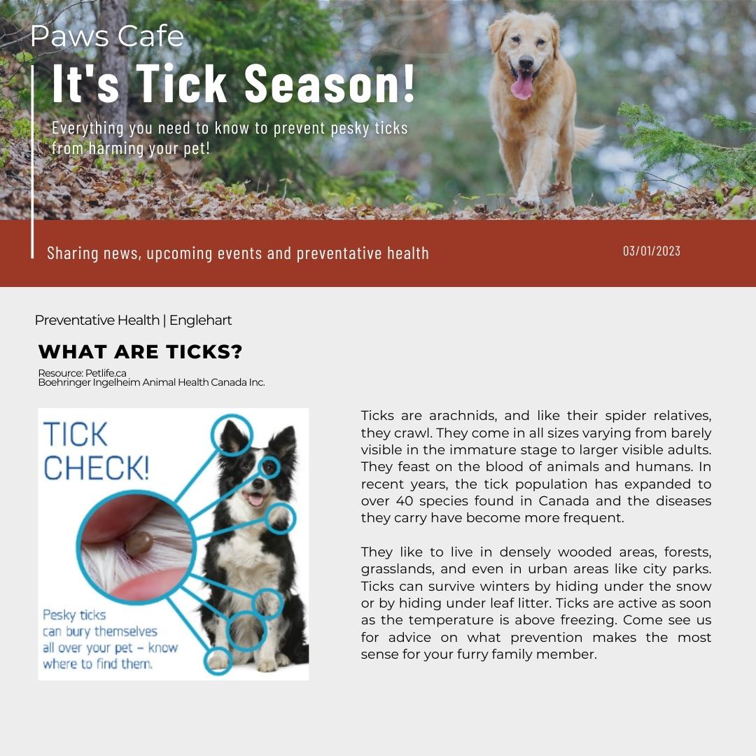 March Tick Prevention - Englehart Animal Hospital | Englehart, ON